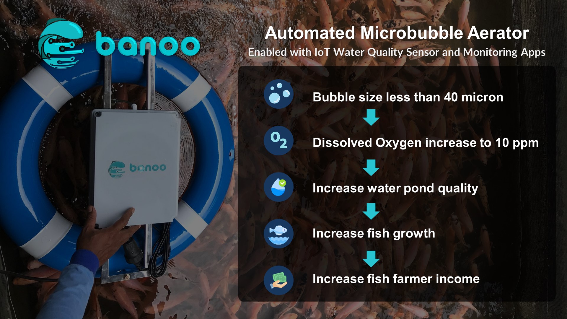 Banoo | James Dyson 設計大獎