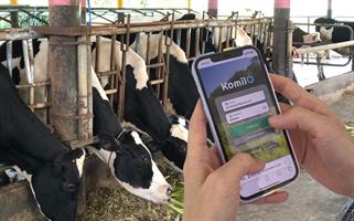 KomilO - Dairy Cow Estrus Detection System | James Dyson Award
