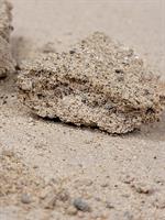 Bio-Brick | James Dyson Award