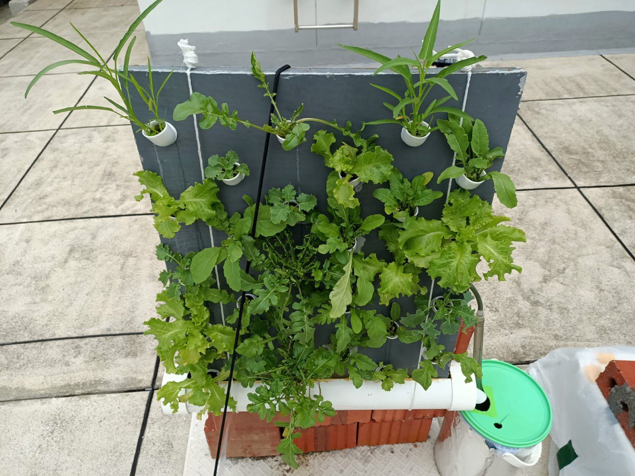 Vertical Farming - Reinvented for Urban Cities | James Dyson Award